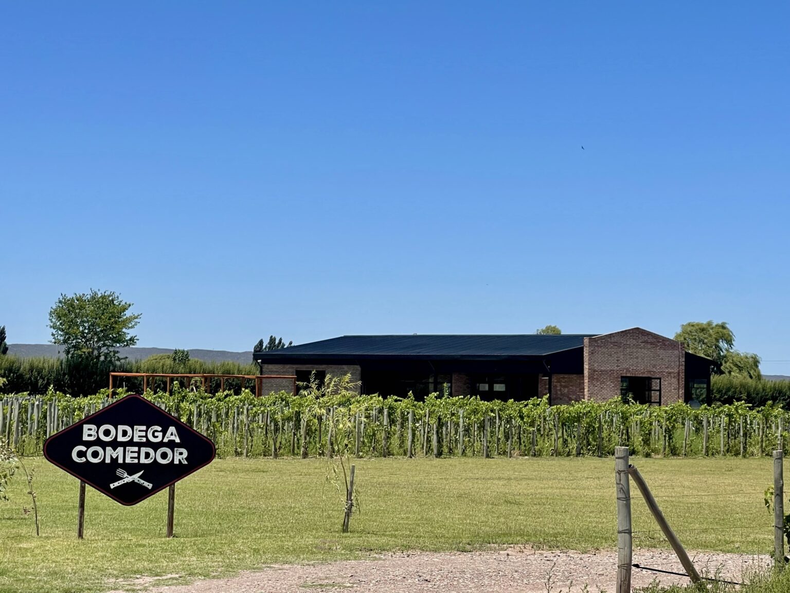 Cocina argentina y vinos: ¿cómo es la nueva Bodega Comedor en Mendoza?